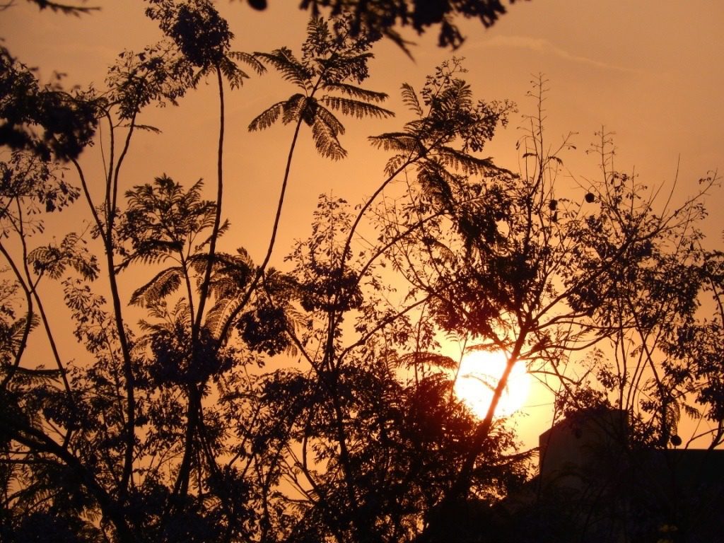 dusk | Pugdundee Safaris Blog