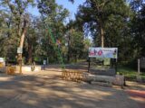 Best Zones in Kanha National Park | Core & Buffer Zone Guide