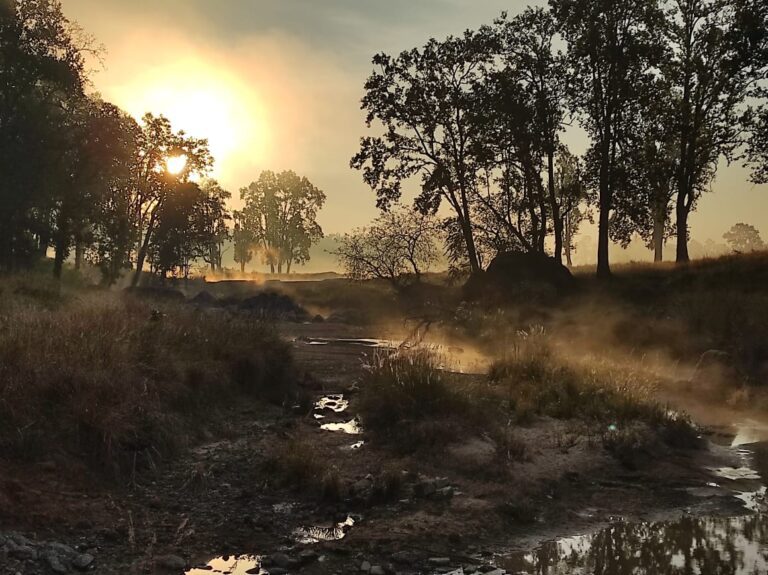 Best Zones in Kanha National Park | Core & Buffer Zone Guide
