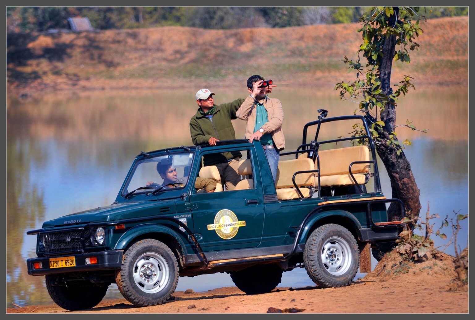 Jungle Safari in India: Top National Parks & Travel Guide